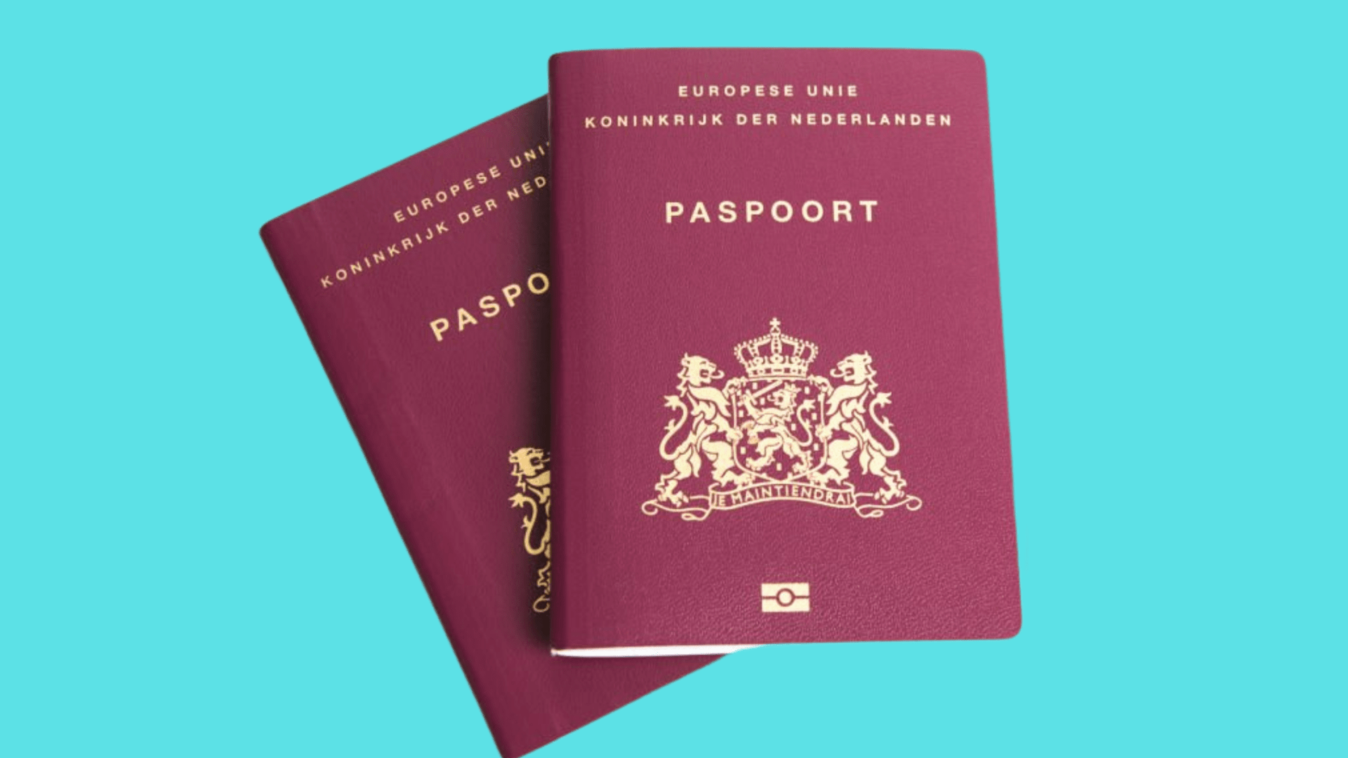 Navigating Dutch Immigration Laws: Key Points for Newcomers - Jimble